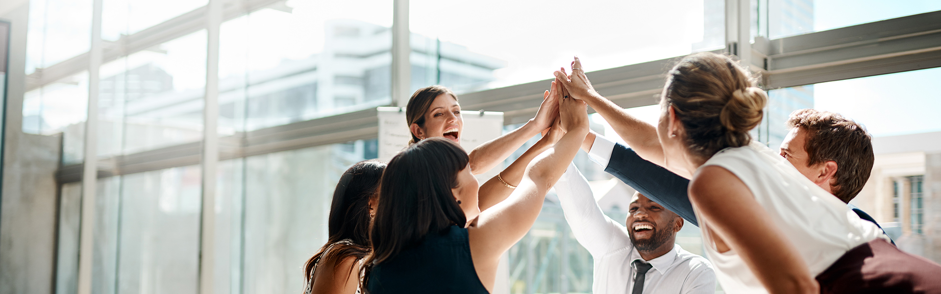 Our Management Team at TransferEASE Relocation